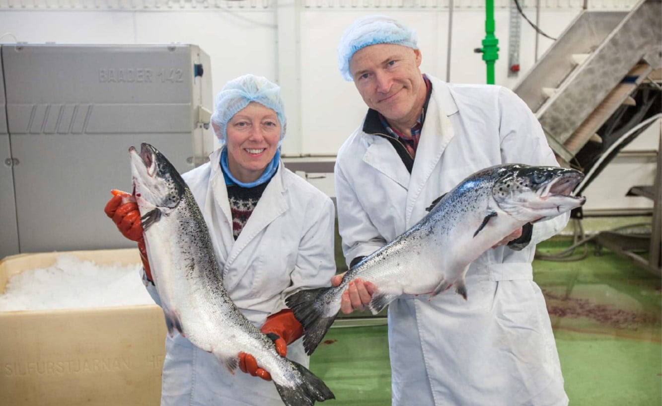 Lax úr landeldi í Öxarfirði unninn á gamla mátann - Matland